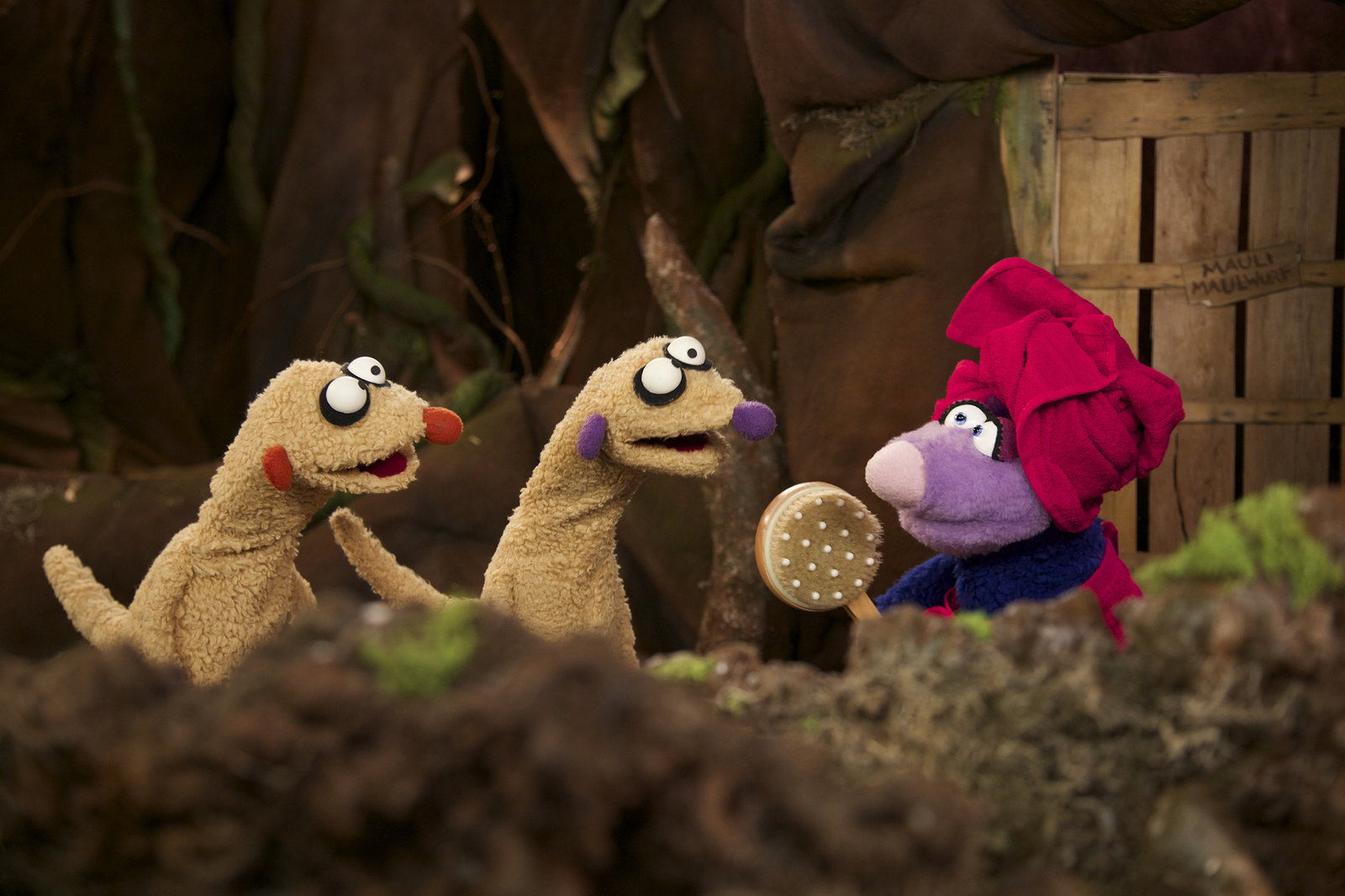 Jan & Henry, News, Termine, Streams auf TV Wunschliste