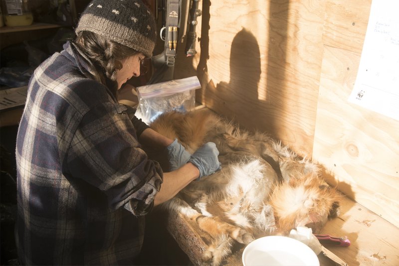 [07x05] Raubtierjagd (Battle Lines) - Mountain Men - Überleben in der ...