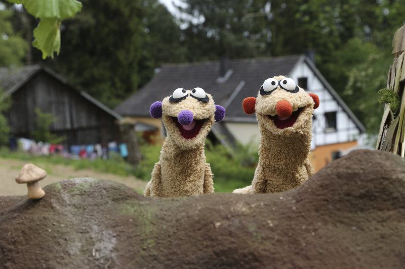 Jan & Henry Bilder - TV Wunschliste