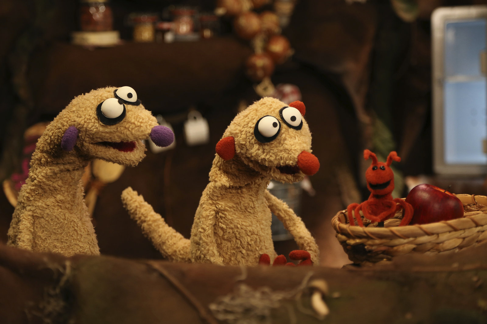 Jan & Henry Bilder – TV Wunschliste