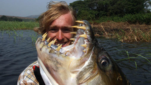 Auf der Suche nach dem Monsterfisch / Monsterfische Bilder – TV Wunschliste