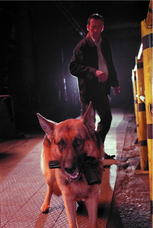 Kommissar Rex (1994) Bilder (Seite 7) – TV Wunschliste Kommissar Rex (1994) Bilder (Seite 7) – TV Wunschliste