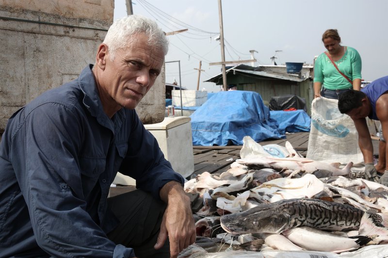 Fluss-Monster / Fluss-Monster - Die gefährlichsten Abenteuer Bilder ...