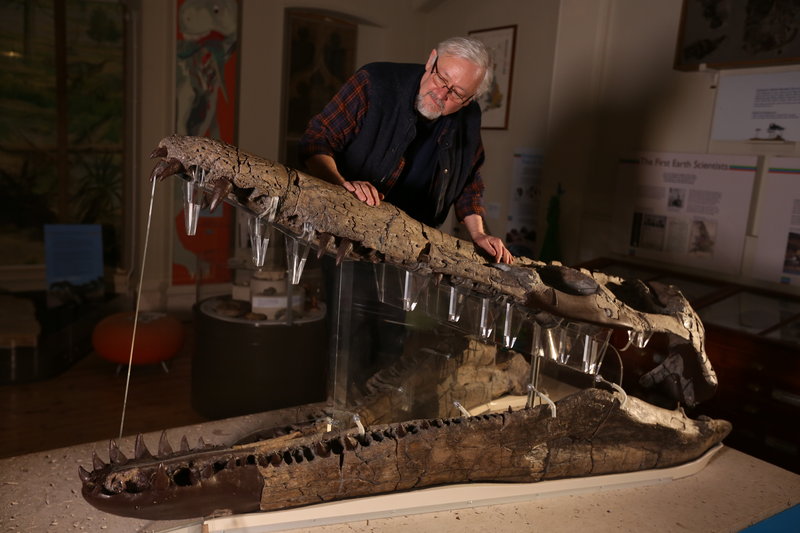 Giganten - Die 10 größten Ungeheuer der Urzeit A, 2015 Streams, TV ...