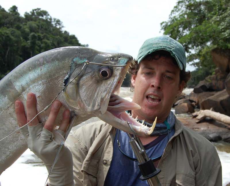 Auf der Suche nach dem Monsterfisch / Monsterfische Bilder – TV Wunschliste