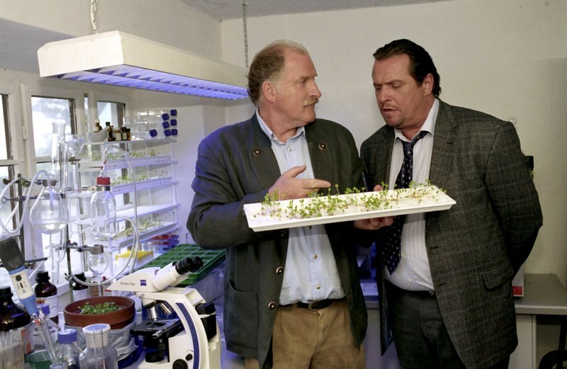 Die Rosenheim-Cops Bilder (Seite 3) – TV Wunschliste