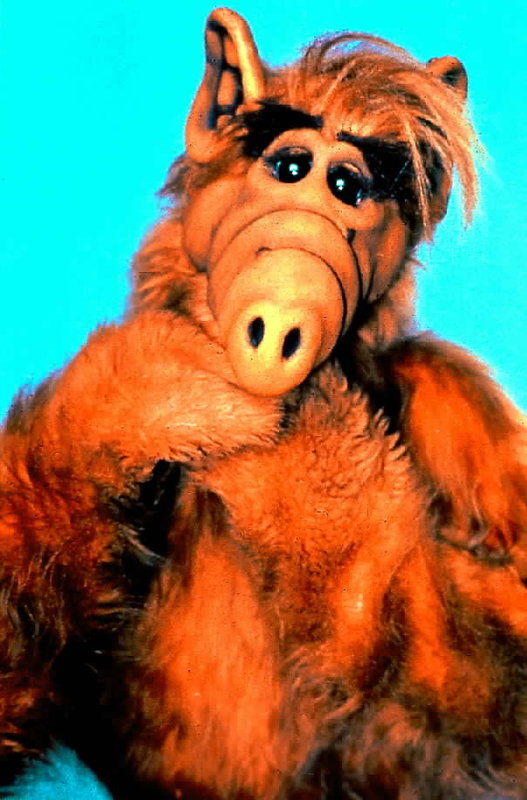 ALF Bilder - TV Wunschliste