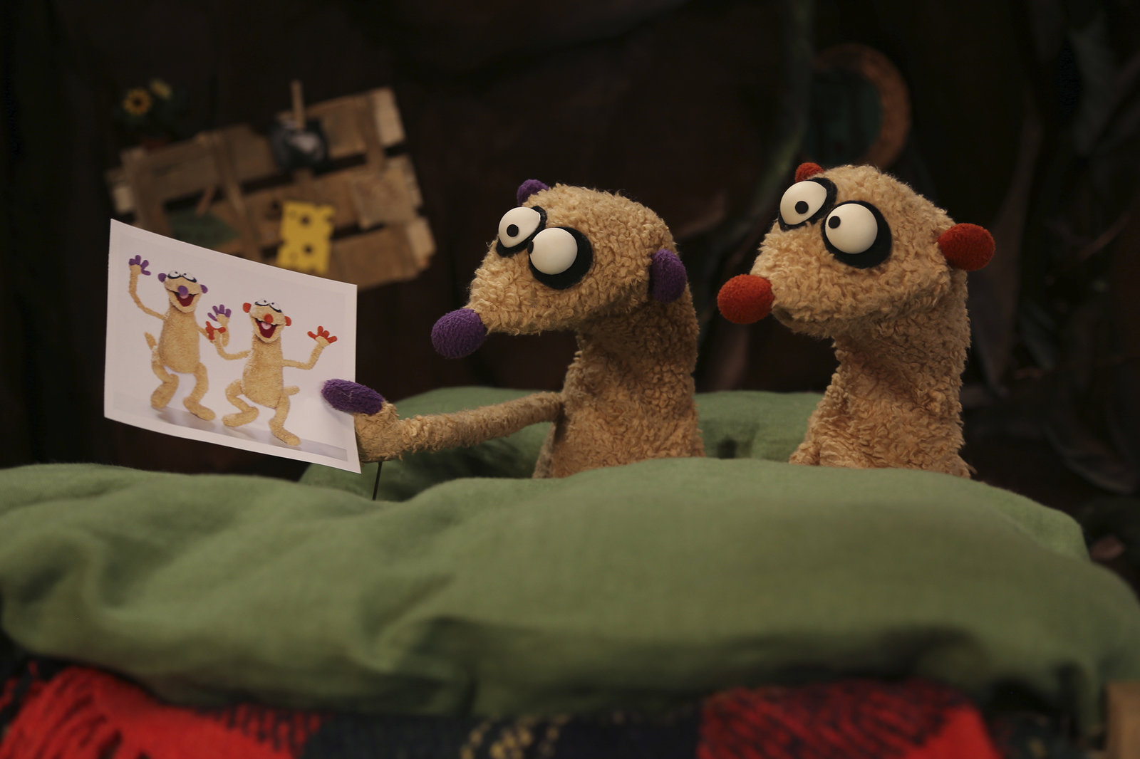 Jan & Henry Bilder – TV Wunschliste