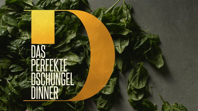 Das perfekte Promi Dinner Bilder – TV Wunschliste