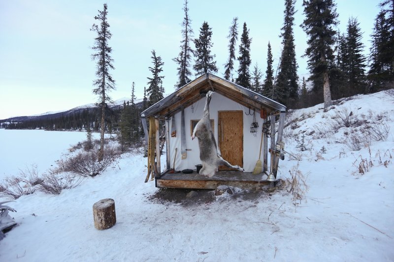 Life Below Zero - Überleben in Alaska Bilder – TV Wunschliste