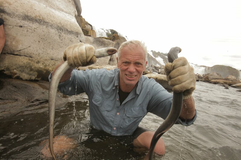 Fluss-Monster / Fluss-Monster - Die gefährlichsten Abenteuer Bilder ...