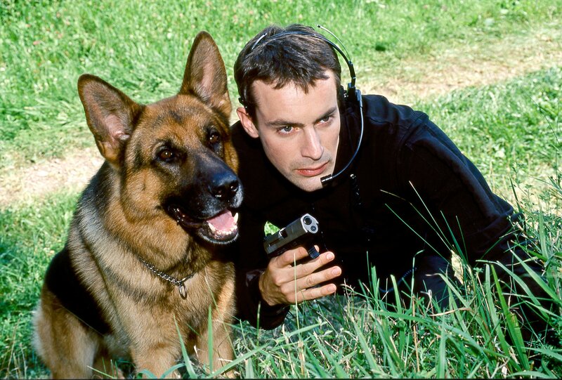 Kommissar Rex (1994) Bilder (Seite 3) – TV Wunschliste Kommissar Rex (1994) Bilder (Seite 3) – TV Wunschliste