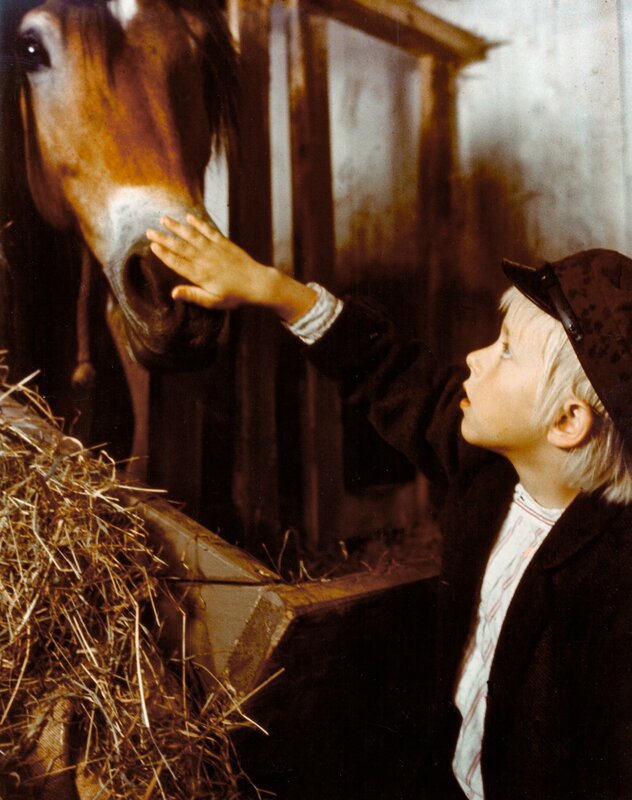 Michel aus Lönneberga / Immer dieser Michel Bilder – TV Wunschliste