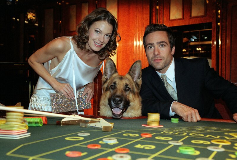 [09x06] Das Donaukrokodil - Kommissar Rex (1994) – TV Wunschliste