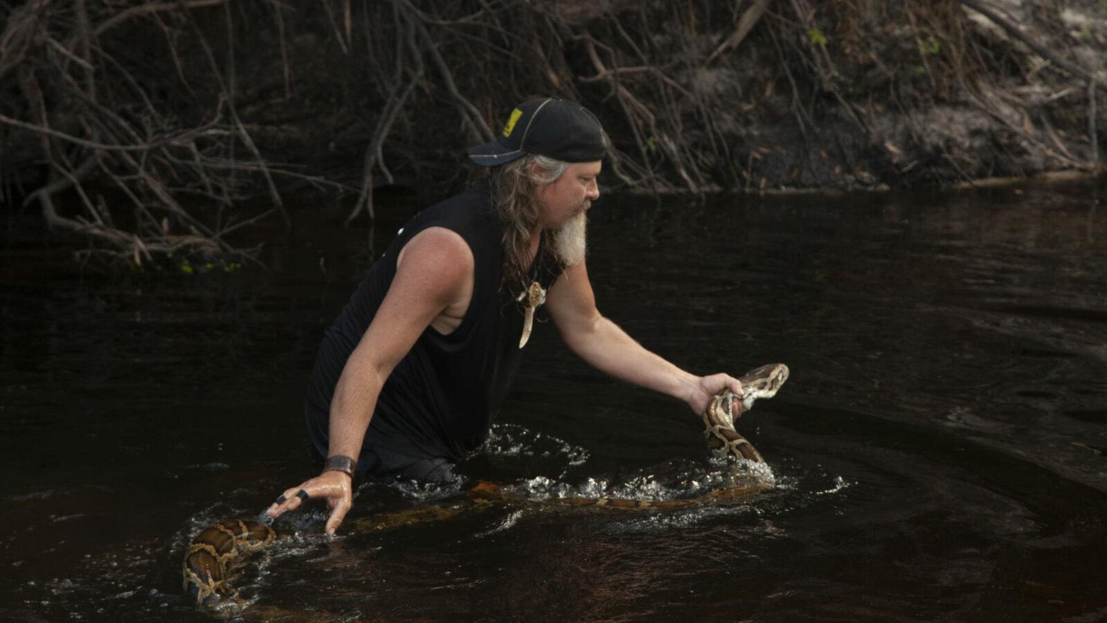 Die Pythonjäger - Einsatz in den Everglades Bilder – TV Wunschliste