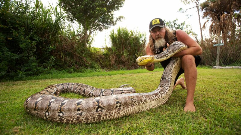 Die Pythonjäger - Einsatz in den Everglades, News, Termine, Streams auf ...