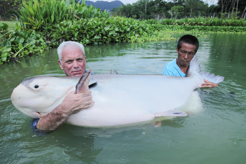 Fluss-Monster Bilder (Seite 4) - TV Wunschliste