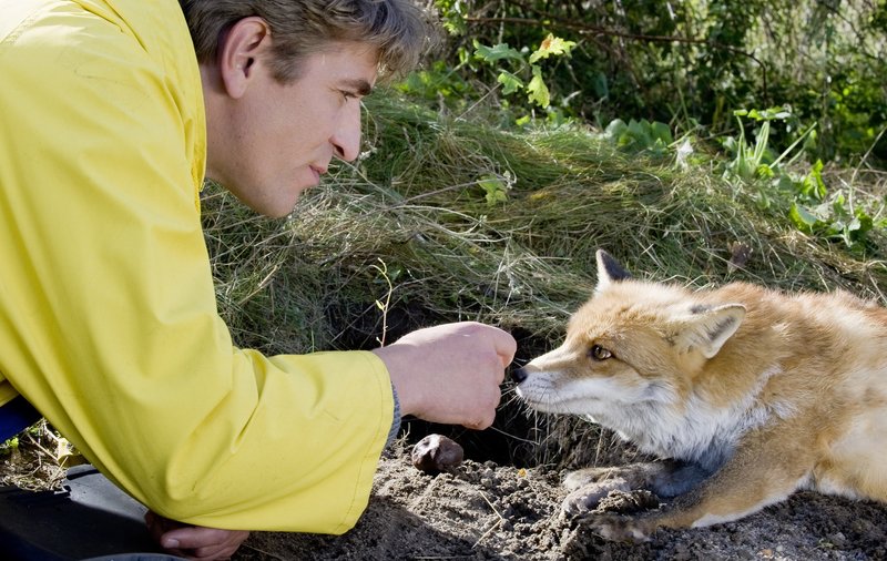 Löwenzahn Bilder - TV Wunschliste