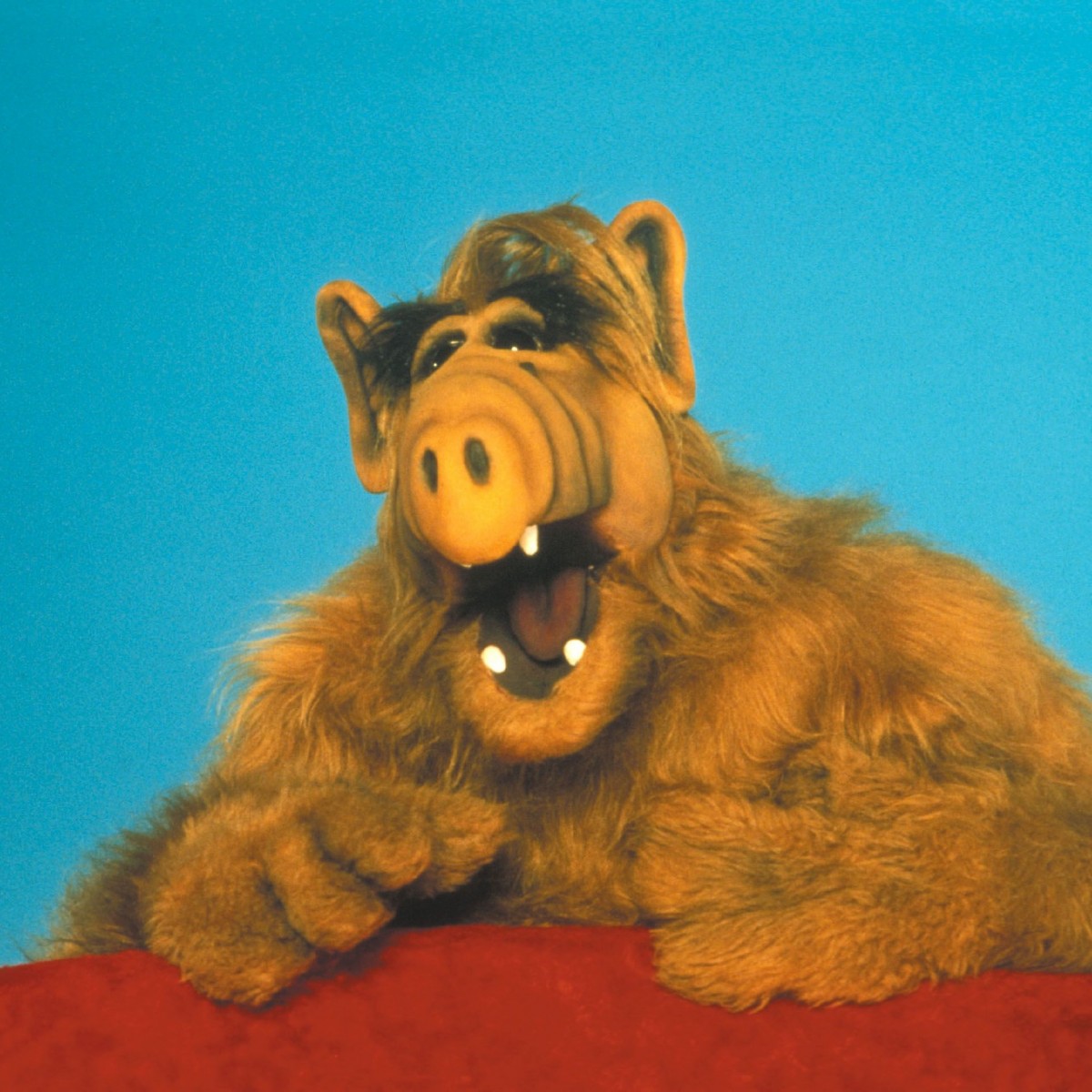 "ALF" landet bei Super RTL: Kultserie startet schon diesen Freitag - 30 ...