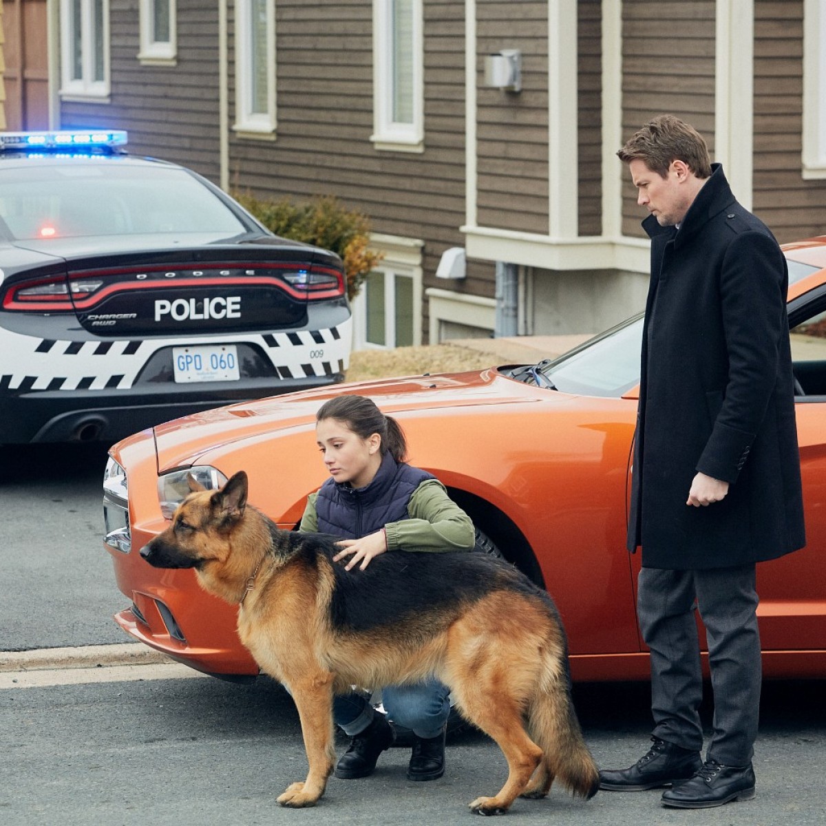 "Hudson & Rex": TNT Serie zeigt kanadische "Kommissar Rex"-Adaption ...