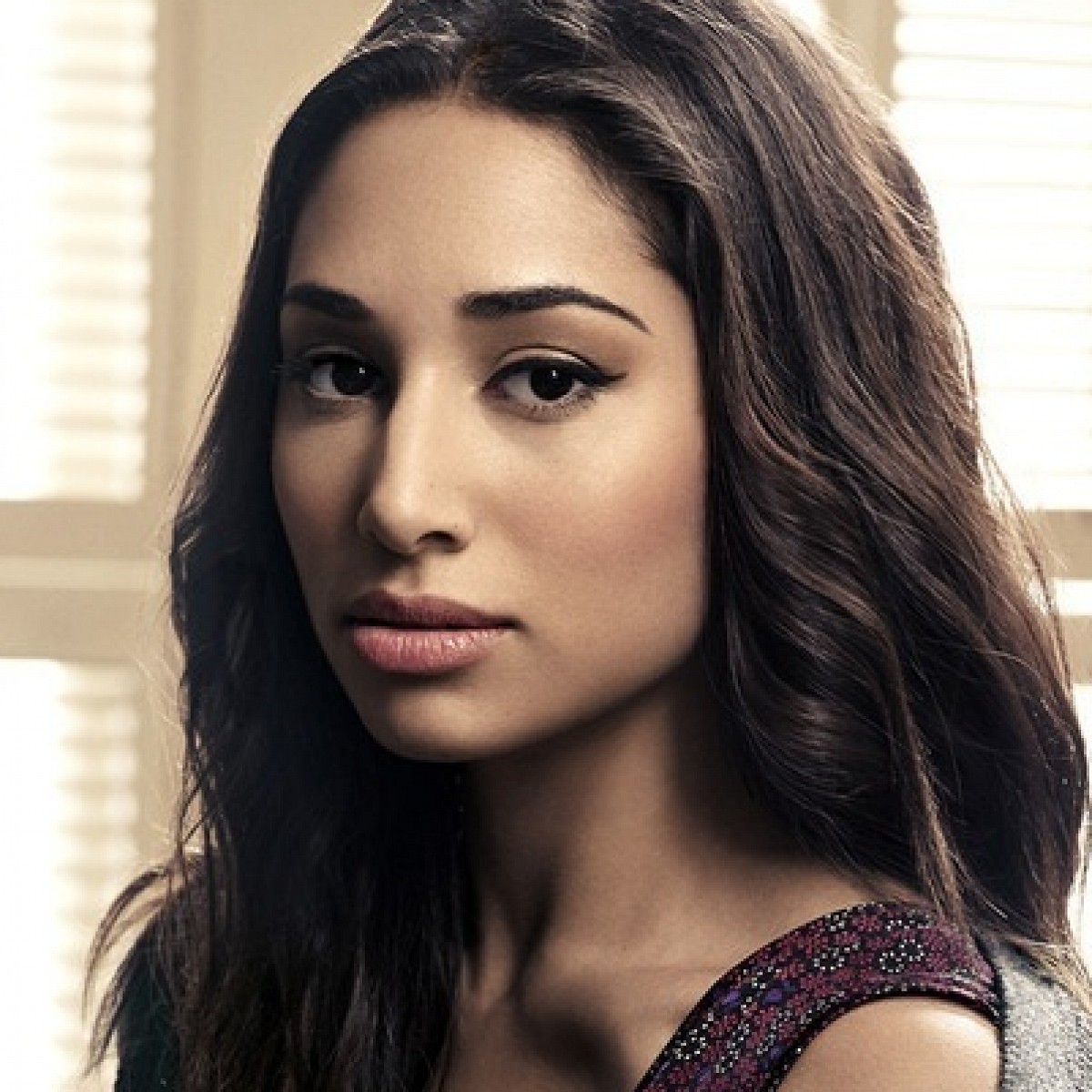 "Rogue" erhält vierte Staffel, verpflichtet Meaghan Rath ("Being Human ...