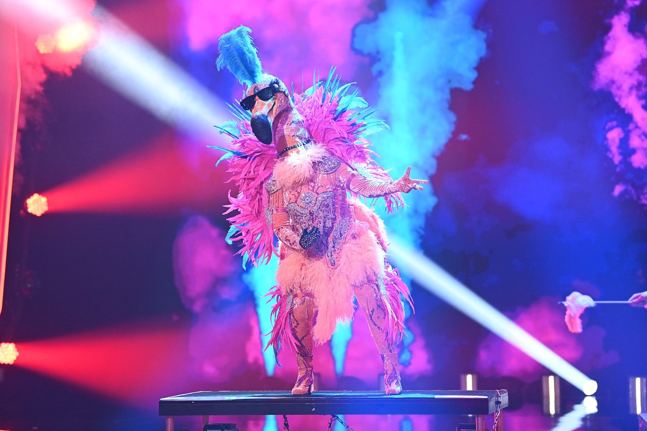 "The Masked Singer": Wer steckt unter Dinosaurier, Leopard, Flamingo ...